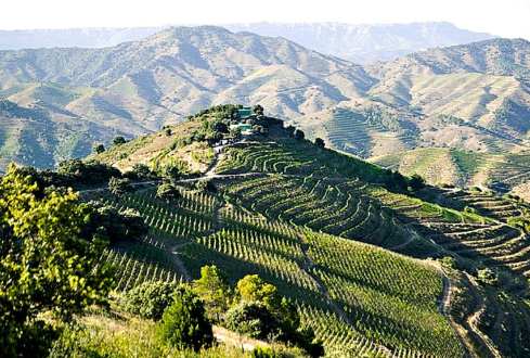 D.O.Ca. Priorat – En Copa de Balón
